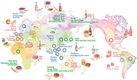 Food Importers | Food Importers - Information about Global Foods ...